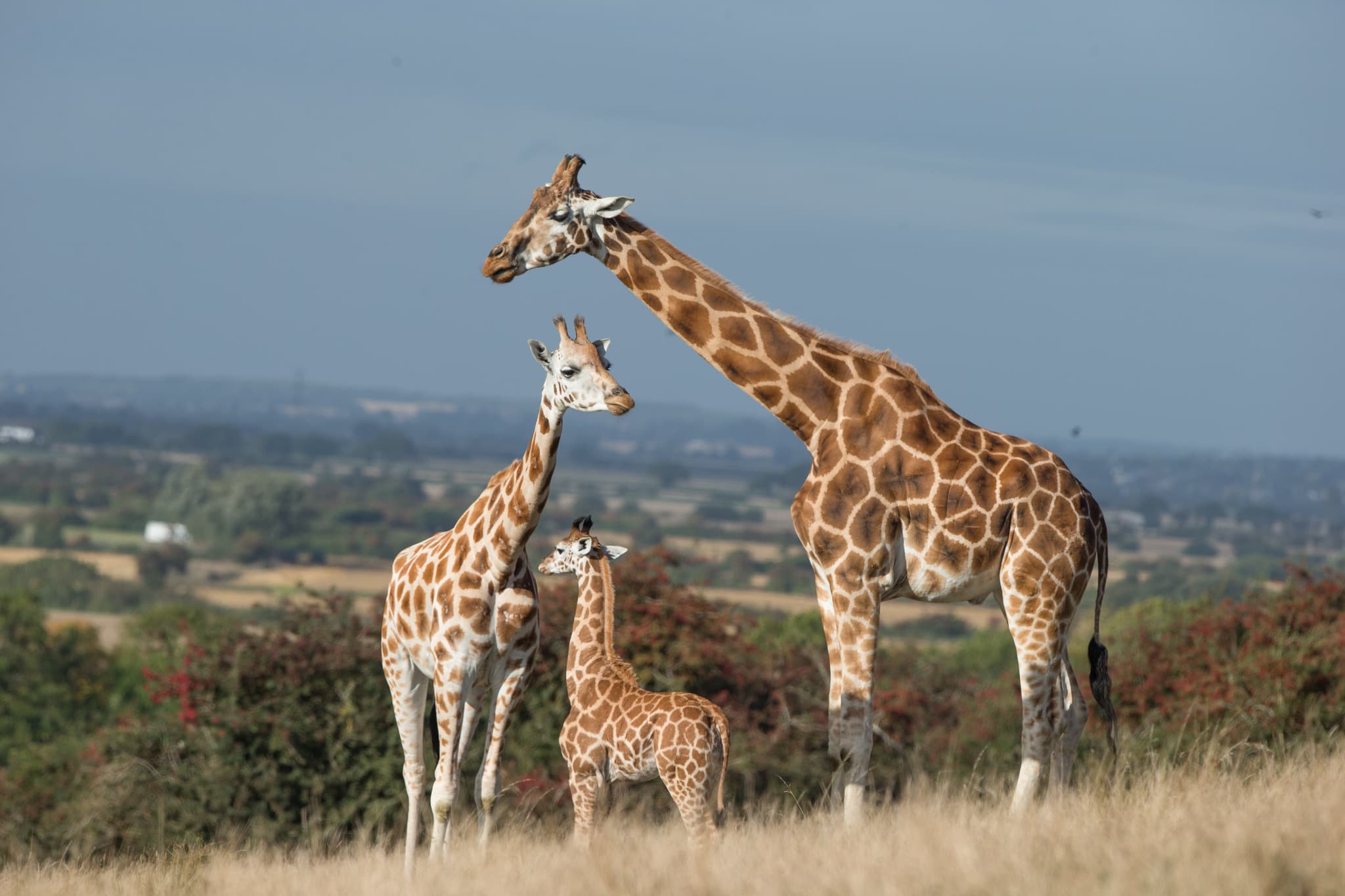 Events in Kent - Discover Local Events Across Kent